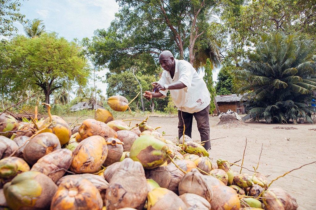 Acumen - Global Bridge Foundation