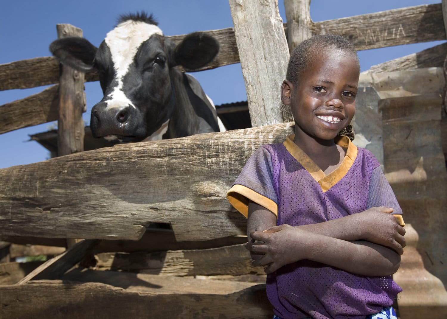 Heifer International - Global Bridge Foundation