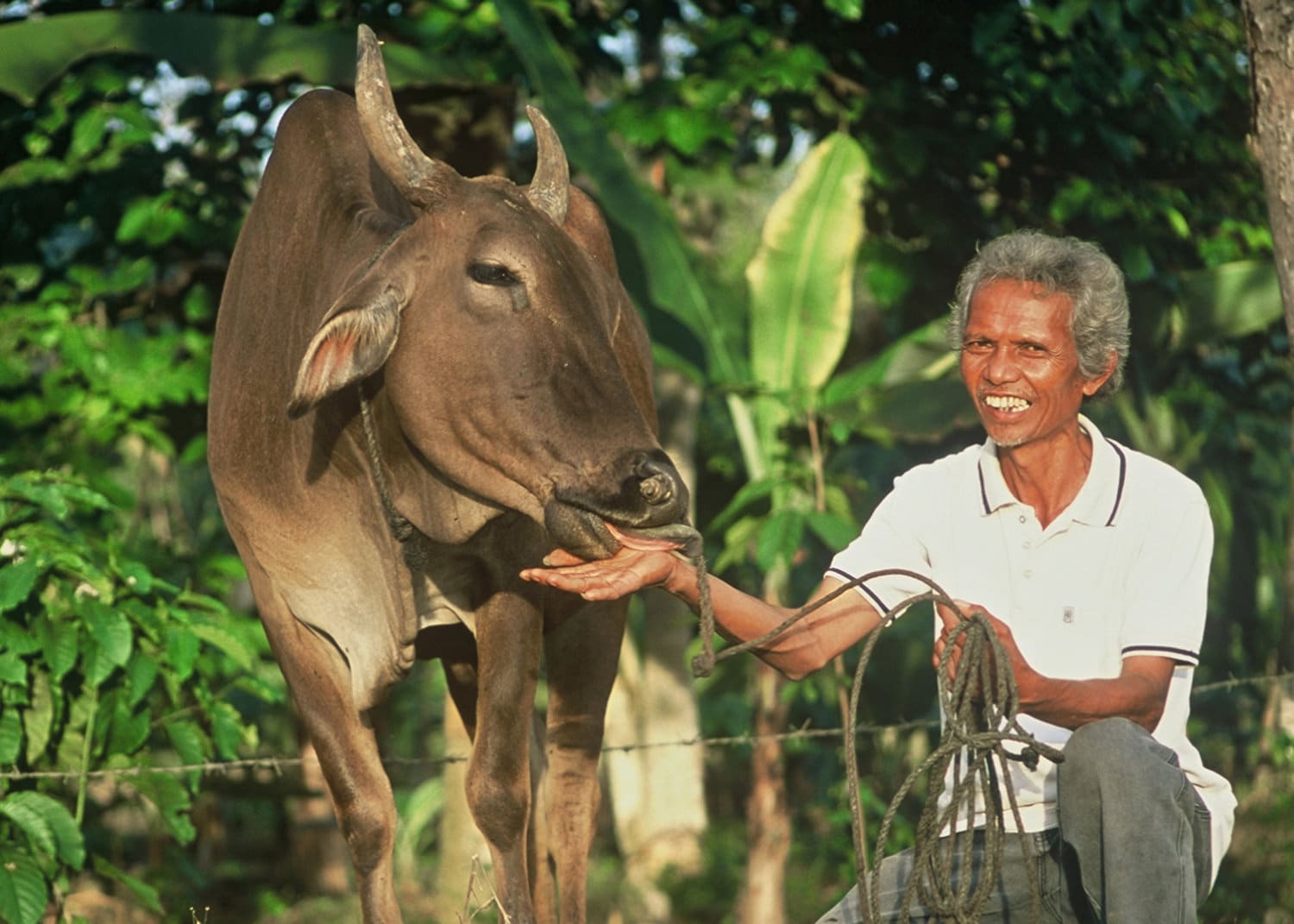 Heifer International - Global Bridge Foundation