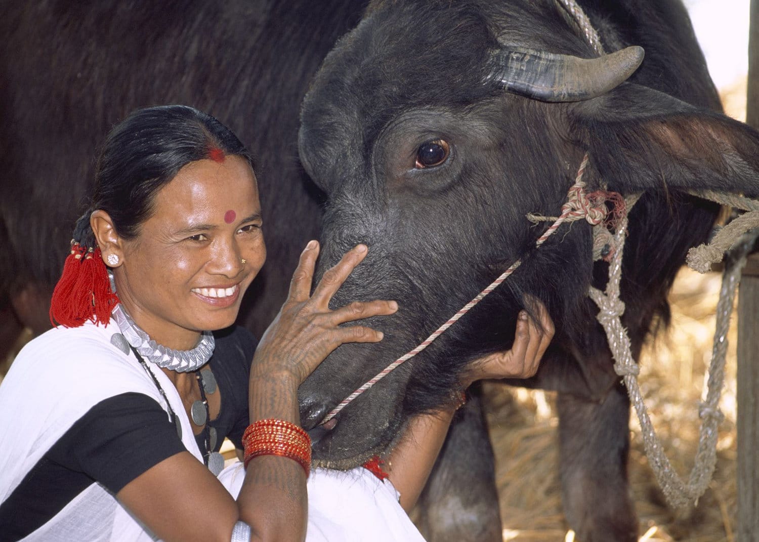 Heifer International - Global Bridge Foundation