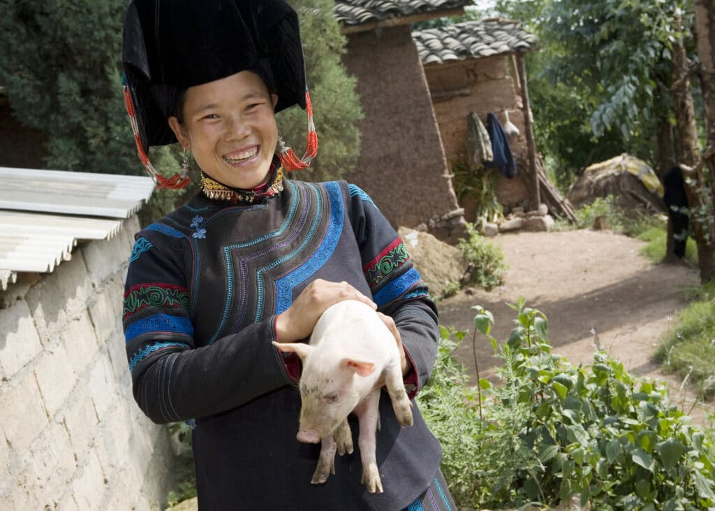 Heifer International - Global Bridge Foundation