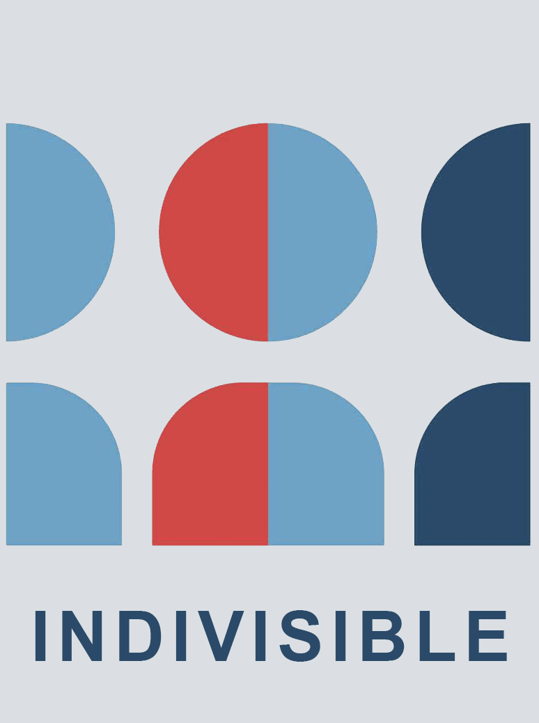 Indivisible Civics - Global Bridge Foundation